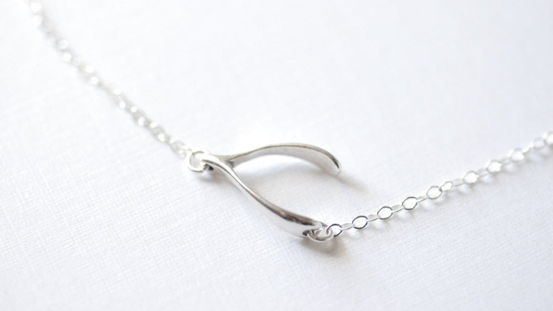 Wishbone Meaning: What the Wishbone Symbolizes